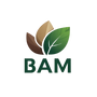 Bamboo - White Multipurpose 20 lb Paper - Letter Sized 8.5” x 11" - 3 ...